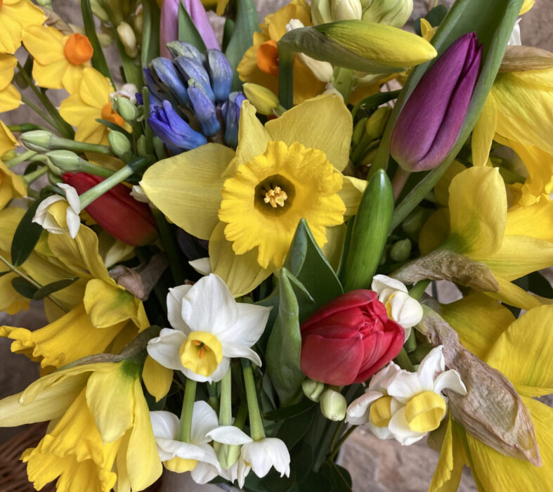 Welcome - Great British Florist